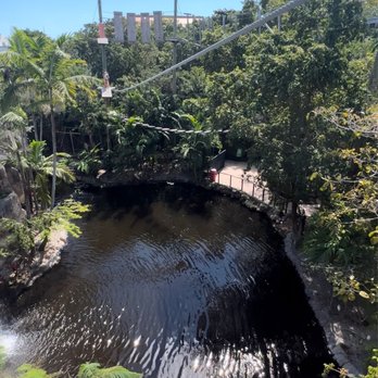 TREETOP TREKKING MIAMI - Updated January 2026 - 32 Photos & 23 Reviews ...