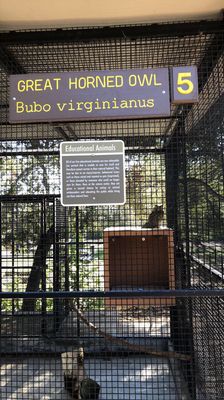 SAN DIMAS CANYON NATURE CENTER - 37 Photos & 13 Reviews - Zoos - 1628 N ...