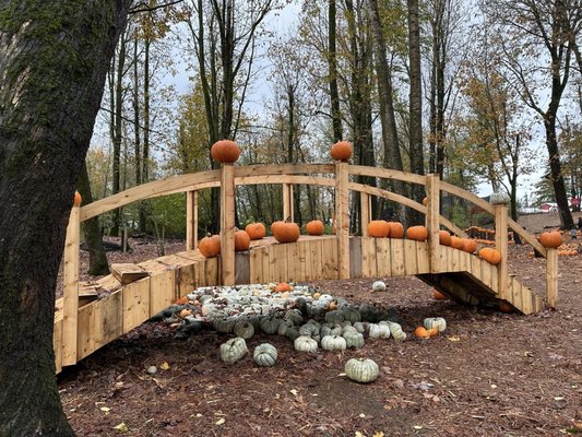 MAAN FARMS - Updated June 2026 - 200 Photos & 71 Reviews - 790 McKenzie ...
