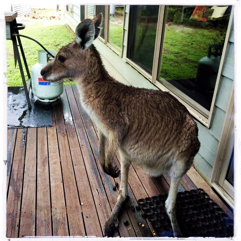 WATERFRONT RETREAT AT WATTLE POINT - Updated May 2024 - 200 Wattle ...