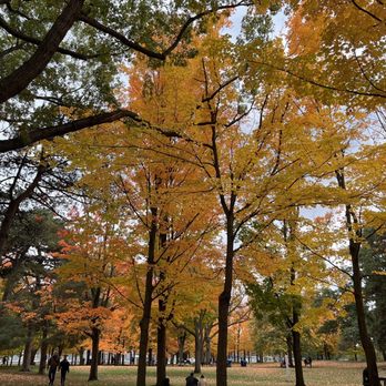 HIGH PARK - Updated September 2025 - 1015 Photos & 175 Reviews - 1873 ...
