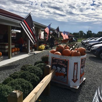 PARSONS FARMS PRODUCE - Updated August 2025 - 104 Photos & 41 Reviews ...