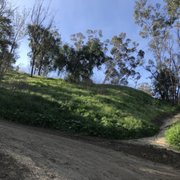 MURPHY RANCH PARK - 186 Photos & 46 Reviews - 16200 Las Cumbres Dr ...