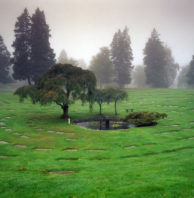 EVERGREEN WASHELLI FUNERAL HOME - Updated March 2025 - 50 Photos & 60 ...