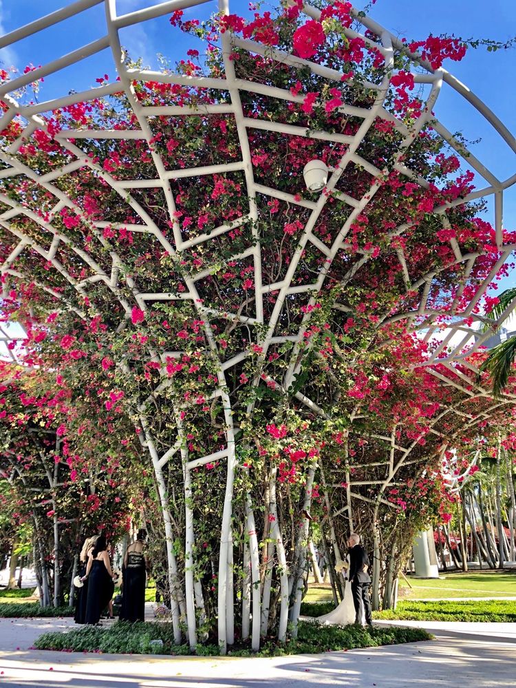 SOUNDSCAPE PARK MIAMI BEACH - 63 Photos & 39 Reviews - 400 17th St ...