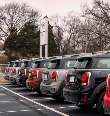 MINI OF ST LOUIS - Updated September 2025 - 26 Photos & 33 Reviews - 40 ...