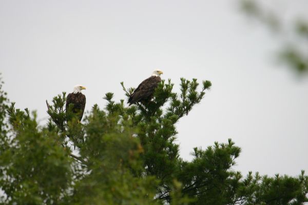 WALGREENS - Updated October 2025 - 10 Reviews - 502 S Main St, Rice ...