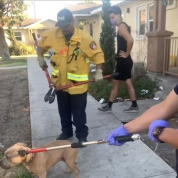 COMPTON FIRE STATION 3 - Updated August 2025 - 1133 W Rosecrans Ave ...