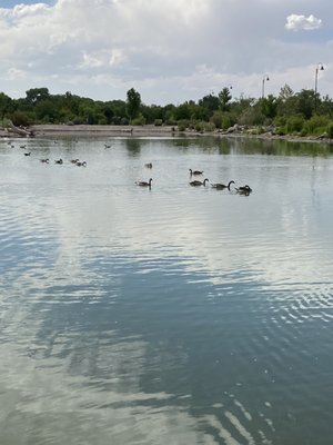 TINGLEY FIELD PARK - Updated December 2025 - 20 Photos - 913 Atlantic ...