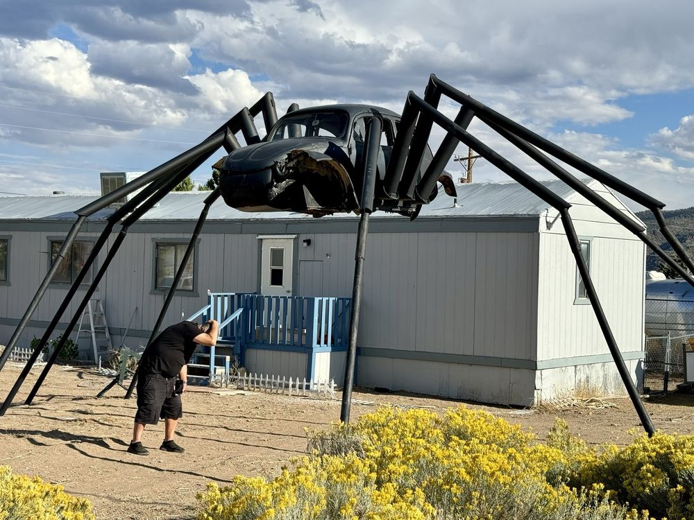 VW BEETLE SPIDER - Updated December 2024 - Carson City, Nevada - Public ...