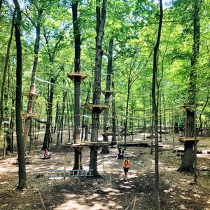 TREERUNNER ADVENTURE PARK AT ROCHESTER - 27 Photos & 28 Reviews - 7553 ...