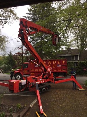 FRIENDLY TREE SERVICE - Updated June 2025 - 24 Photos & 174 Reviews ...