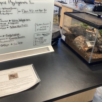 DISCOVERY LAB - Updated June 2025 - 77 Photos & 20 Reviews - 3123 ...