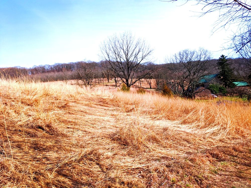 BINKY LEE PRESERVE - NATURAL LANDS - Updated July 2025 - 40 Photos ...
