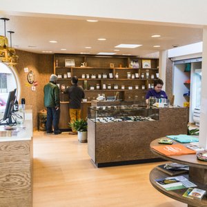 NECTAR - PORTLAND BEAVERTON HILLSDALE - Updated April 2025 - 4709 SW ...