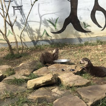 MAGNOLIA WILDS - Updated August 2025 - 200 Photos & 56 Reviews - 11342 ...