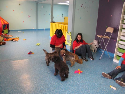 BRICKYARD KENNEL IPAWD - Updated October 2025 - 30 Photos & 49 Reviews ...