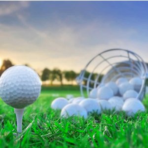 TOWHEE CLUB - Updated January 2026 - 39 Photos & 45 Reviews - 3901 ...