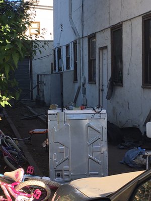 STARR PROPERTY MANAGEMENT - 36 Photos & 153 Reviews - 2431 March Ln ...