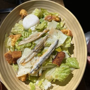 OCOTILLO - Updated June 2024 - 49 Photos & 10 Reviews - 211 Danforth St ...