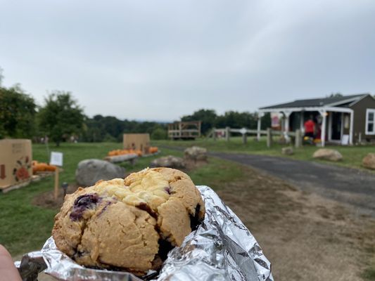 RICE FRUIT FARM - Updated October 2025 - 89 Photos & 115 Reviews - 757 ...