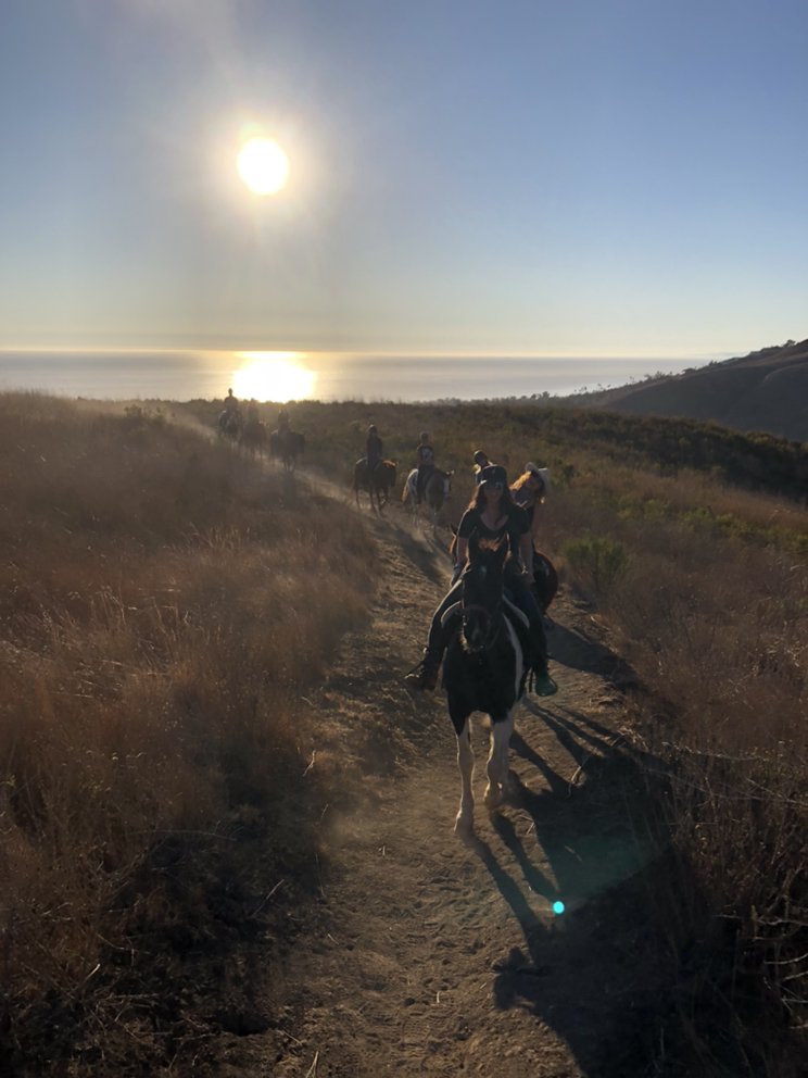 MALIBU RIDERS - Updated January 2026 - 844 Photos & 775 Reviews - 29947 ...