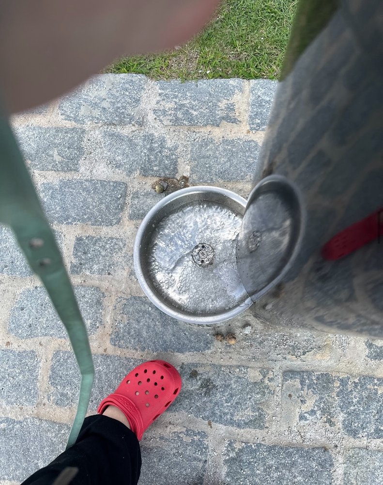 BROOKLINE RESERVOIR - Updated November 2025 - 43 Photos & 18 Reviews ...