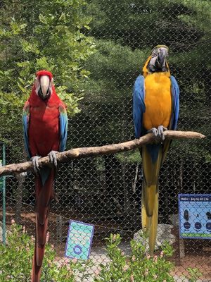 STONE ZOO - 209 Photos & 179 Reviews - 149 Pond St, Stoneham ...