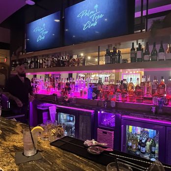 PALM TREE CLUB - Updated January 2025 - 90 Photos & 17 Reviews - 9101 ...