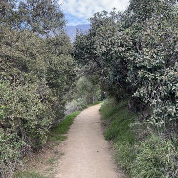 DAWN MINE HIKE - Updated July 2025 - 387 Photos & 69 Reviews - Chaney ...