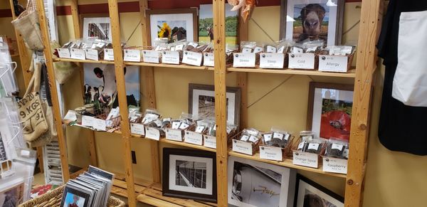 JAVA DOG COFFEE & TEA - Updated October 2025 - 17 Photos & 28 Reviews ...