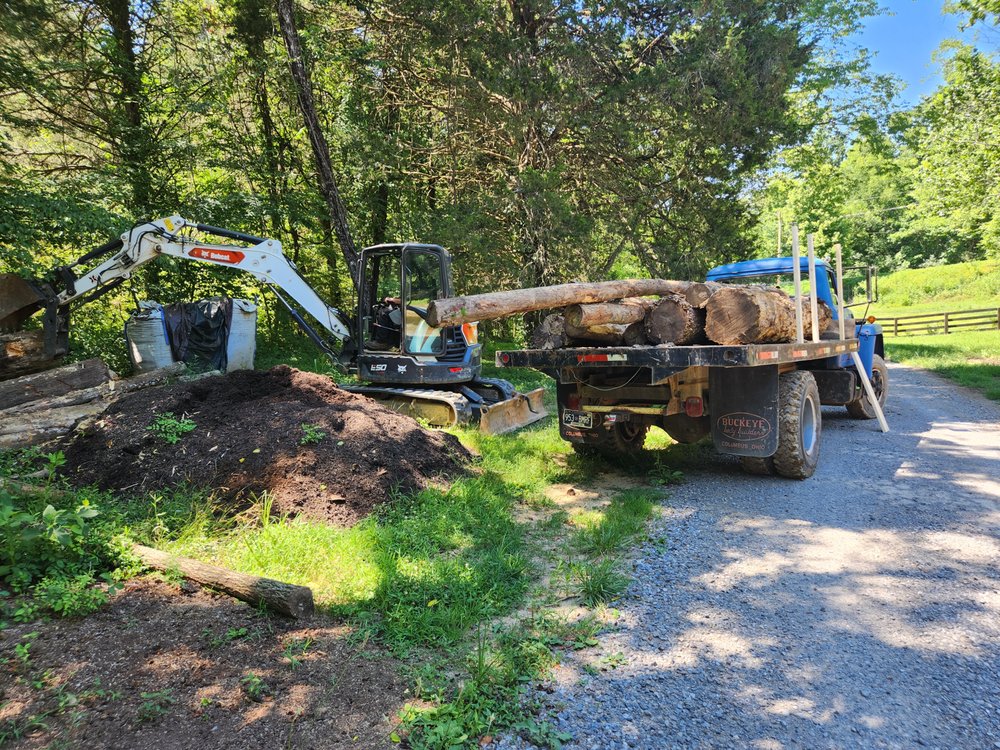 B&G TREEWORKS AND LUMBER - Updated September 2024 - Morristown, Tennessee - Tree Services ...