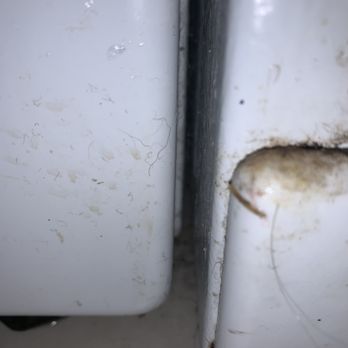 LOBOS MANAGEMENT - Updated March 2025 - 47 Photos & 207 Reviews - 233 ...