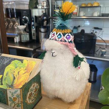 ALPACA COFFEE & TEA - Updated July 2024 - 254 Photos & 196 Reviews ...