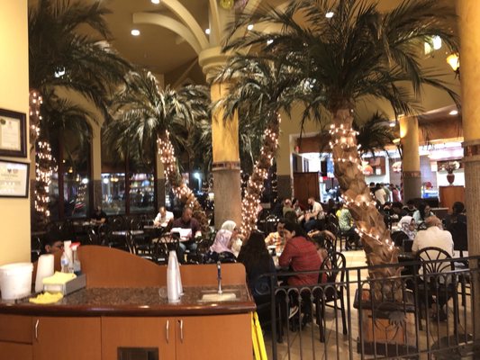 SHATILA BAKERY - DEARBORN - 900 Photos & 714 Reviews UPDATED - Desserts ...