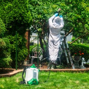 MEN IN BLACK PEST CONTROL SERVICES - Updated January 2026 - 28 Photos ...