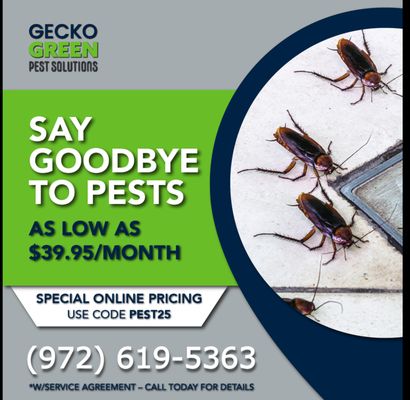 GECKO GREEN LAWN CARE - Updated June 2026 - 29 Photos & 14 Reviews ...