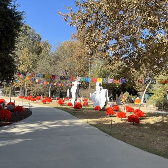 CALM ZOO - Updated July 2025 - 494 Photos & 164 Reviews - 10500 Alfred ...