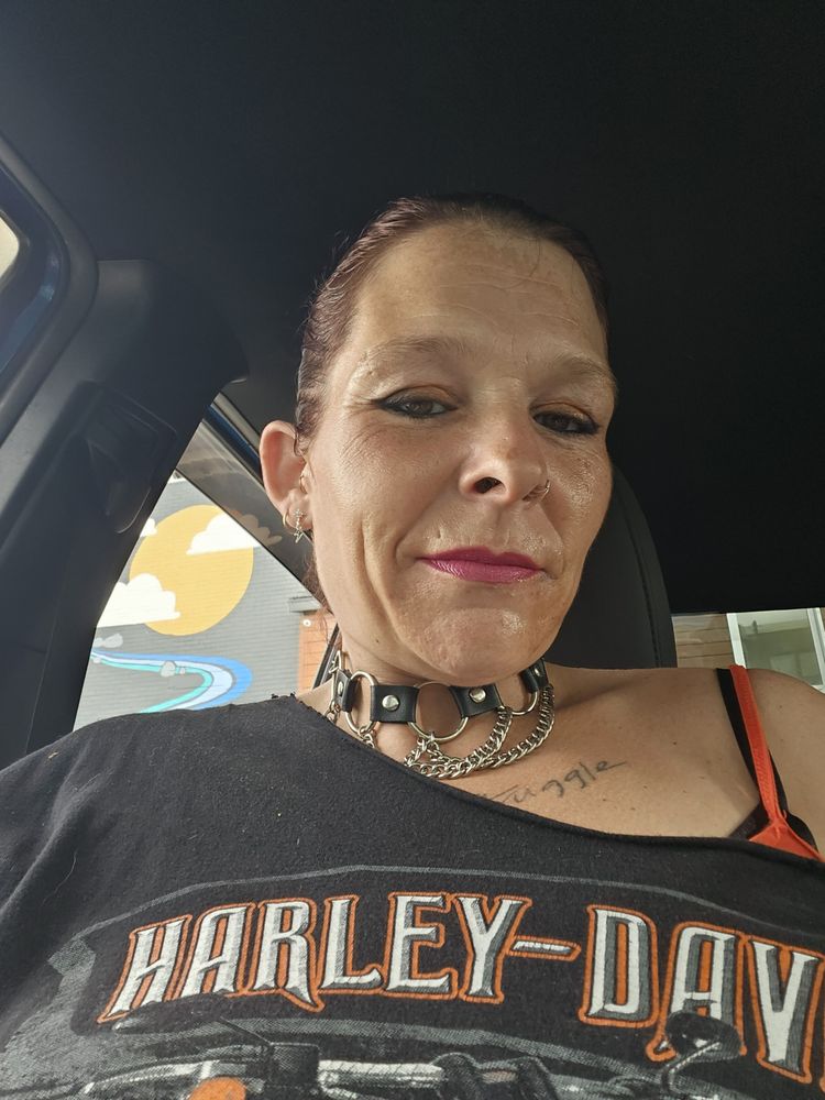 THE QUEEN OF CLEAN - Updated May 2024 - Request a Quote - Fredericton, New Brunswick, Canada ...