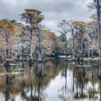 CAPTAIN RON’S SWAMP TOURS - Updated December 2025 - 94 Photos & 42 ...