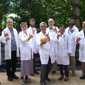 STRAUB NEUROLOGY AND NEUROSURGERY - 888 S King St, Honolulu, Hawaii ...