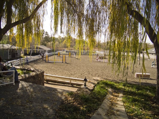 WILLOW CREEK STABLES - Updated October 2025 - 10 Photos - 3049 Camino ...