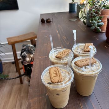 THE MOON COFFEE AND TEA HOUSE - Updated June 2026 - 22 Photos & 28 ...