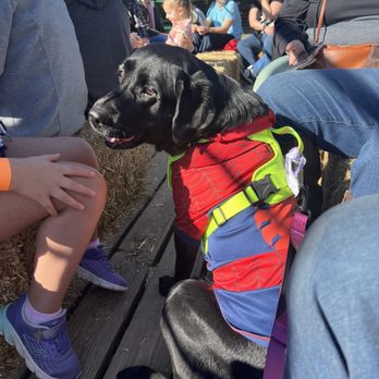 SNEADS FARM - Updated December 2025 - 91 Photos & 41 Reviews - 18294 ...