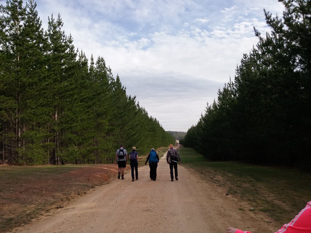 CHALKS CAMPING - Chalks Rd, Mount Crawford South Australia, Australia ...