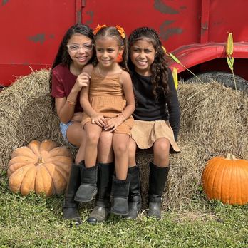 THE LITTLE FARM - Updated December 2025 - 172 Photos & 68 Reviews ...