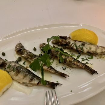 AVRA MIAMI - Updated July 2024 - 171 Photos & 84 Reviews - 17945 ...