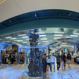 SCHEELS - Updated June 2026 - 781 Photos & 230 Reviews - 4450 ...