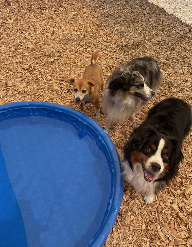 PAWS AND HOOFS - Updated September 2025 - 21 Photos - 5816 Ray Nash Dr ...