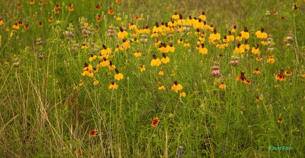 WARREN SPORTS COMPLEX - Updated May 2025 - 24 Photos - 7599 Eldorado ...